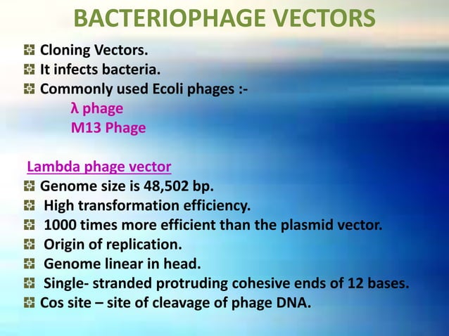 Molecular Cloning - Vectors: Types & Characteristics | PPTX