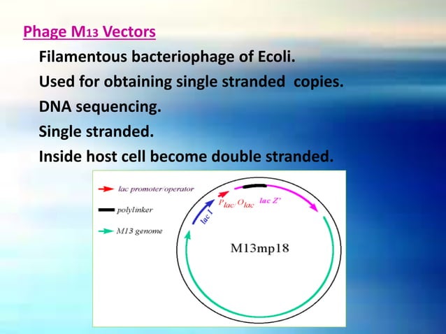 Molecular Cloning - Vectors: Types & Characteristics | PPTX