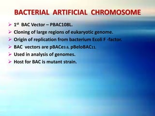 Molecular Cloning - Vectors: Types & Characteristics | PPTX