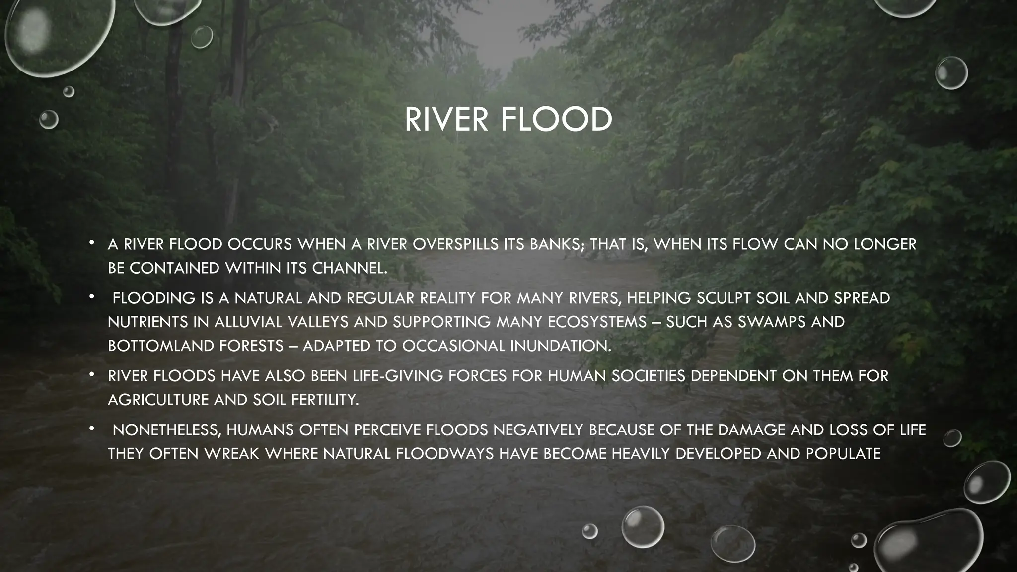 Flood disaster ppt it's about natural environment | PPTX
