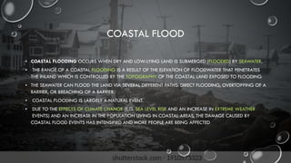 Flood disaster ppt it's about natural environment | PPTX