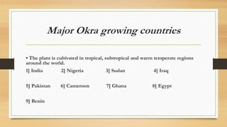 Okra presentation | PPTX