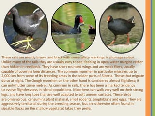 Aryan science2 | PPTX | Birdwatching | Hobbies & Interests