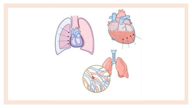 PATHOPHYSIOLOGY AND TYPES OF SHOCK - MBBS.pptx