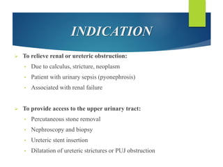 Percutaneous Nephrostomy