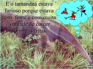 As Tres Formiguinhas | PPT