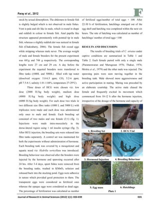 Induced ovulation and spawning of a striped snakehead murrel, Channa ...