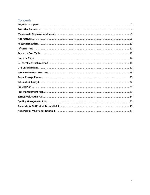 Husky Air Project Charter | DOCX | Air Travel | Travel Type