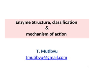 AS116 Enzymes mode of action of enzymes (1).ppt