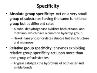 AS116 Enzymes mode of action of enzymes (1).ppt