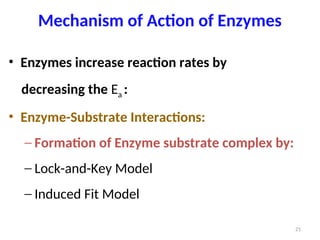 AS116 Enzymes mode of action of enzymes (1).ppt