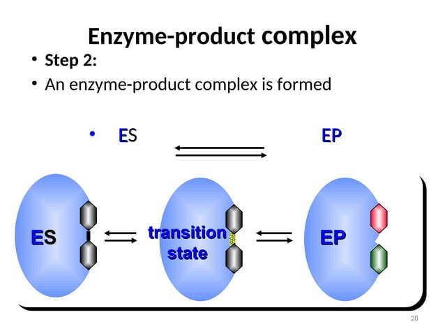 AS116 Enzymes mode of action of enzymes (1).ppt