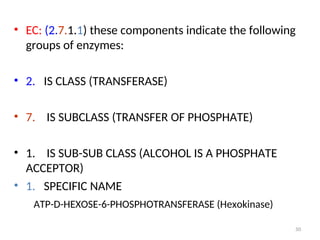 AS116 Enzymes mode of action of enzymes (1).ppt