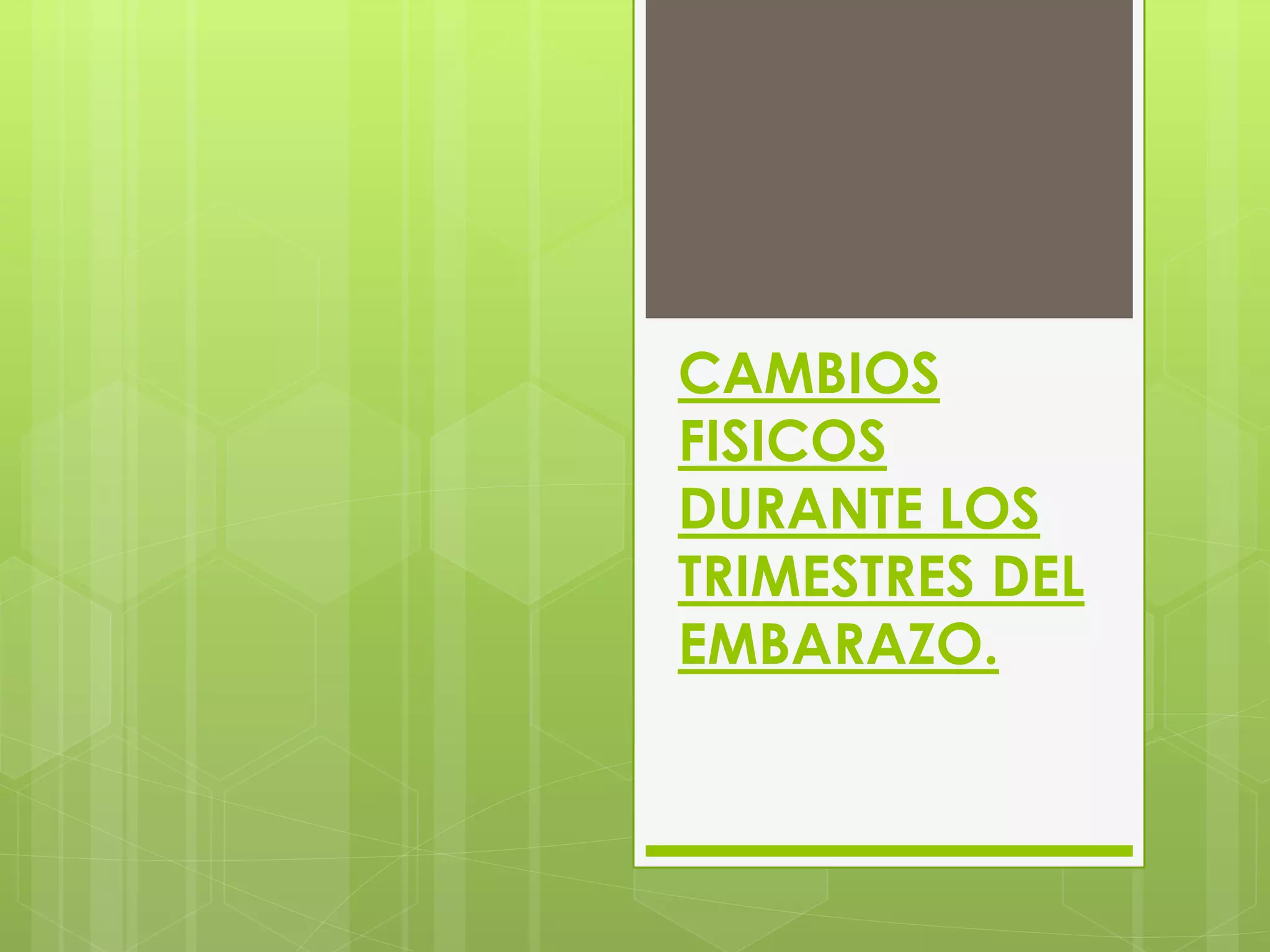 4 cambios fisicos durante los trimestres del embarazo | PPTX ...