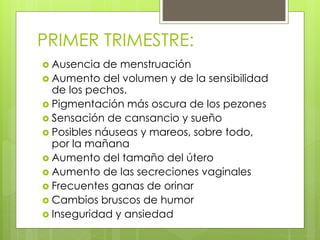4 cambios fisicos durante los trimestres del embarazo | PPTX