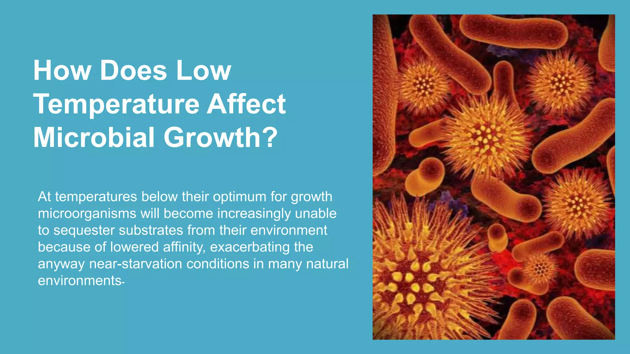 Effect of temperature on environmental fate of microorganisms | PPTX