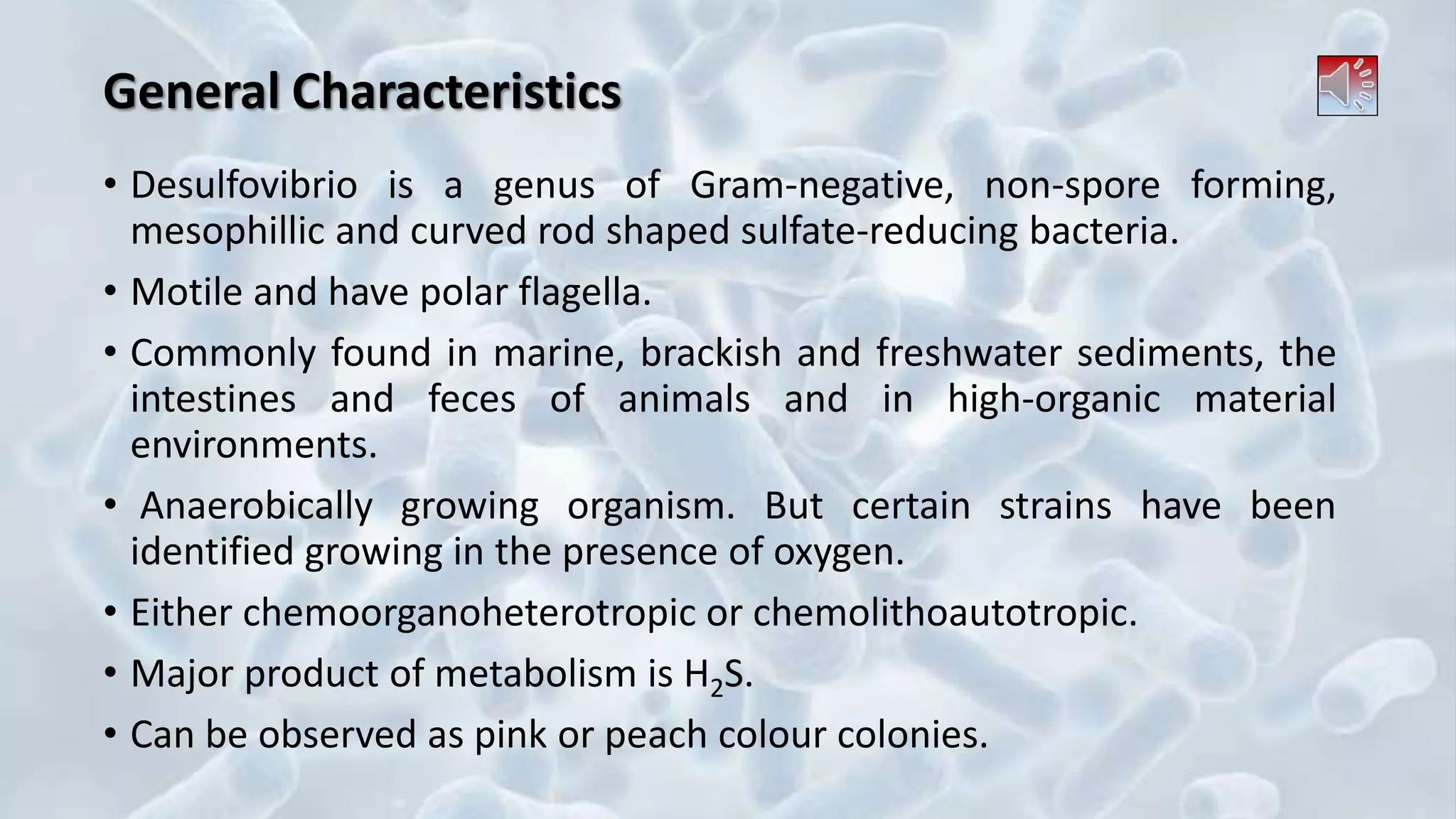 Desulfovibrio | PPTX