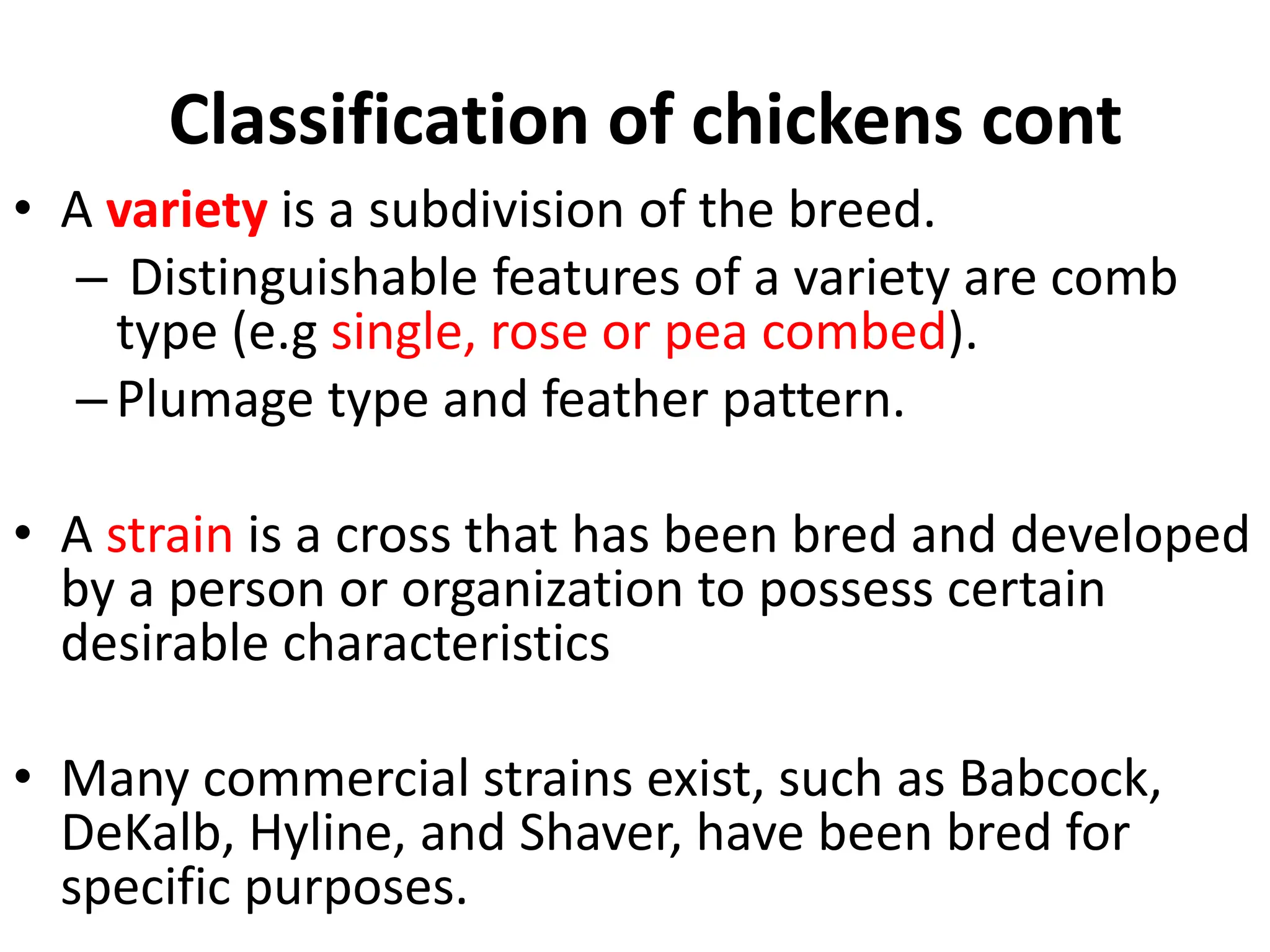 AS 304- POULTRY.ppt