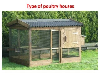 POULTRY proper management practices .ppt