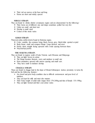 As 306 assignment | PDF