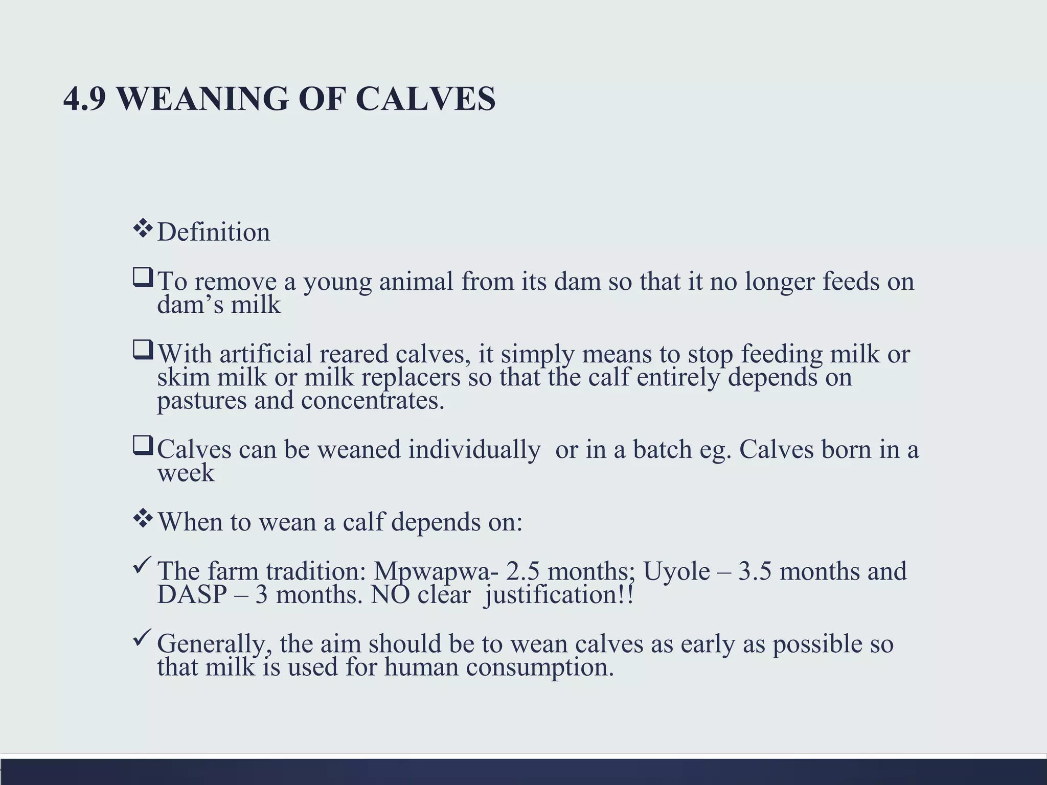 As 308 calf weaning and mortality 4 | PPT
