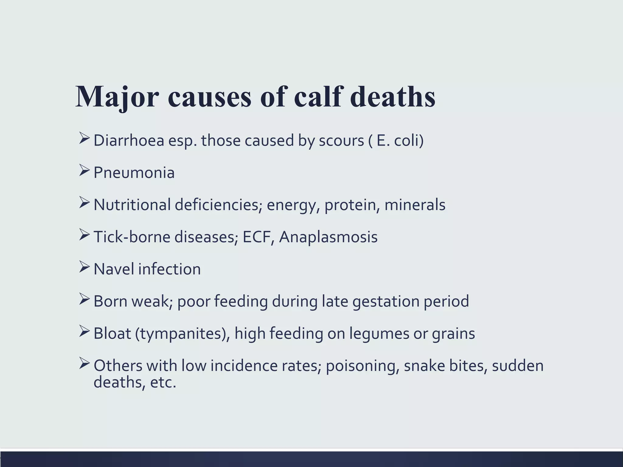 As 308 calf weaning and mortality 4 | PPT