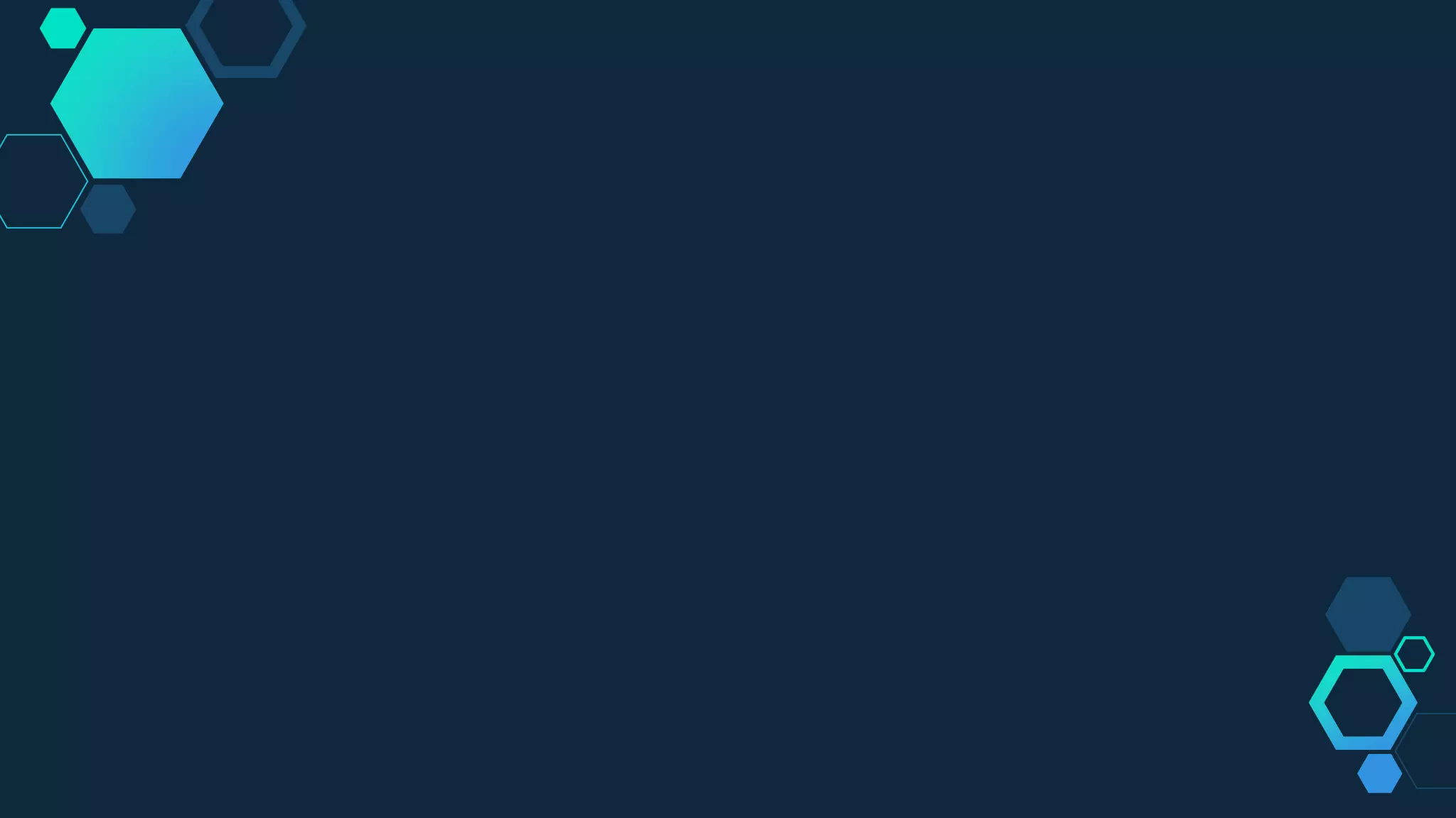 The Metis Experience Presentation | PPTX