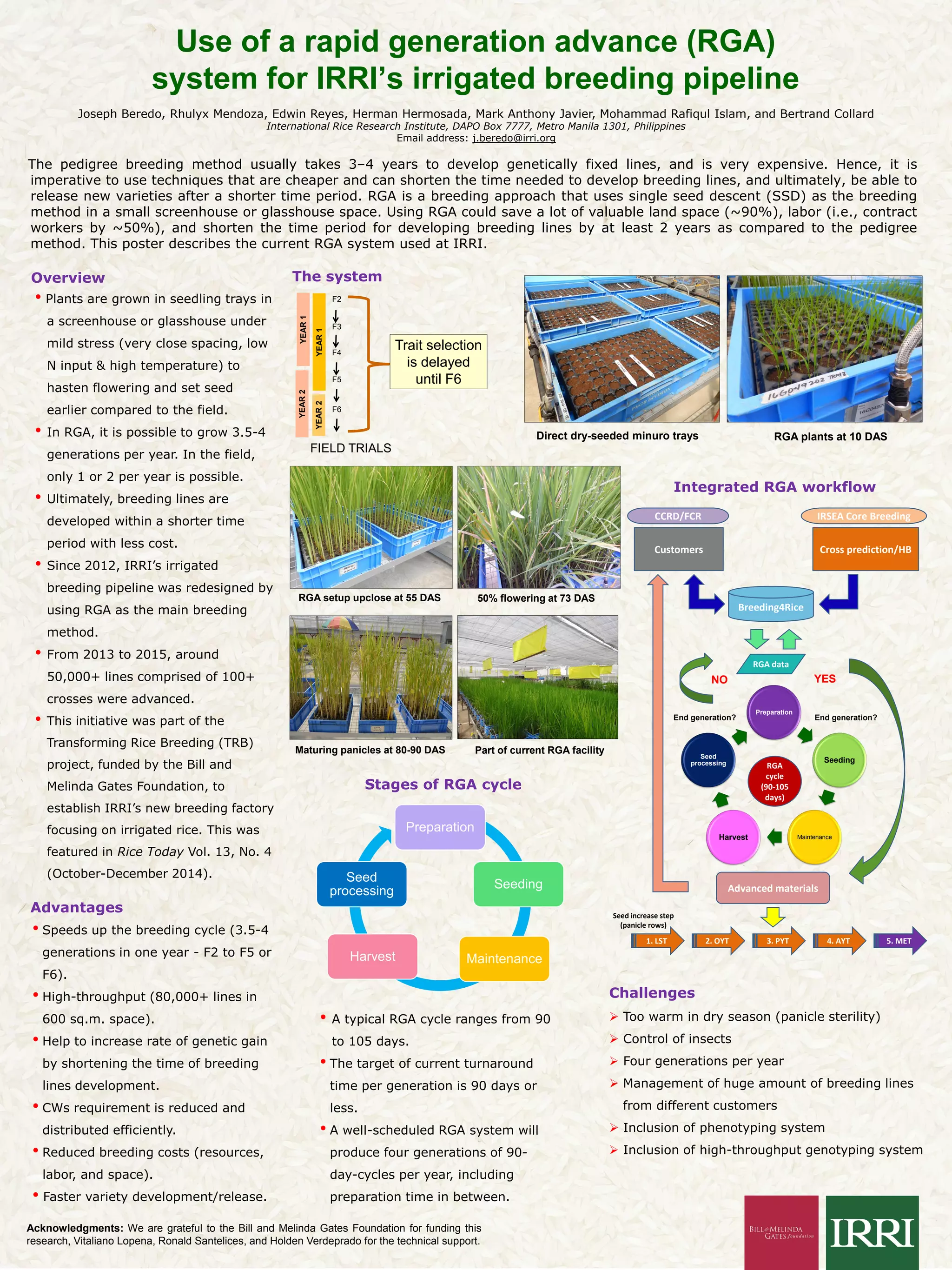 Use of a rapid generation advance (RGA) system for IRRI's irrigated breeding pipeline | PDF