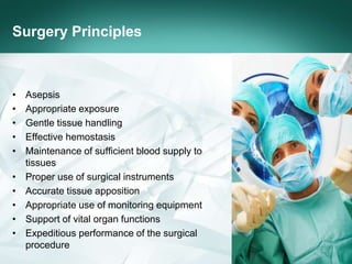 Transparency, Competence and Emotional Intelligence in the Operating ...