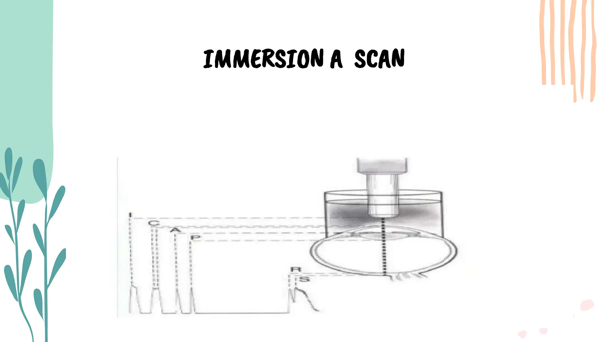A Scan technique and principles for getting acccurate values for ...