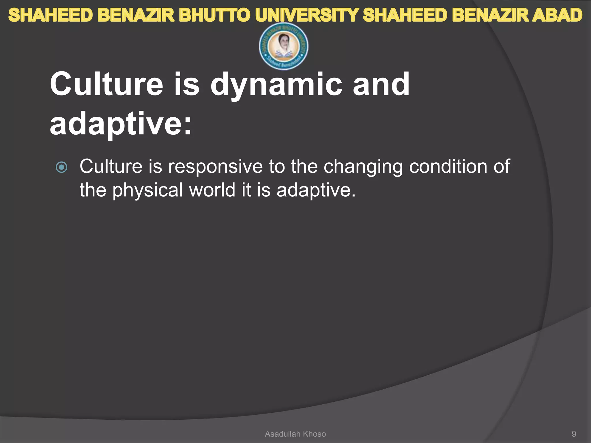 what is culture and it's types by sadam Hussain 129 | PPT