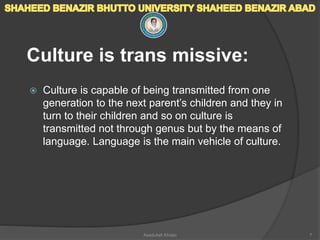 what is culture and it's types by sadam Hussain 129 | PPTX
