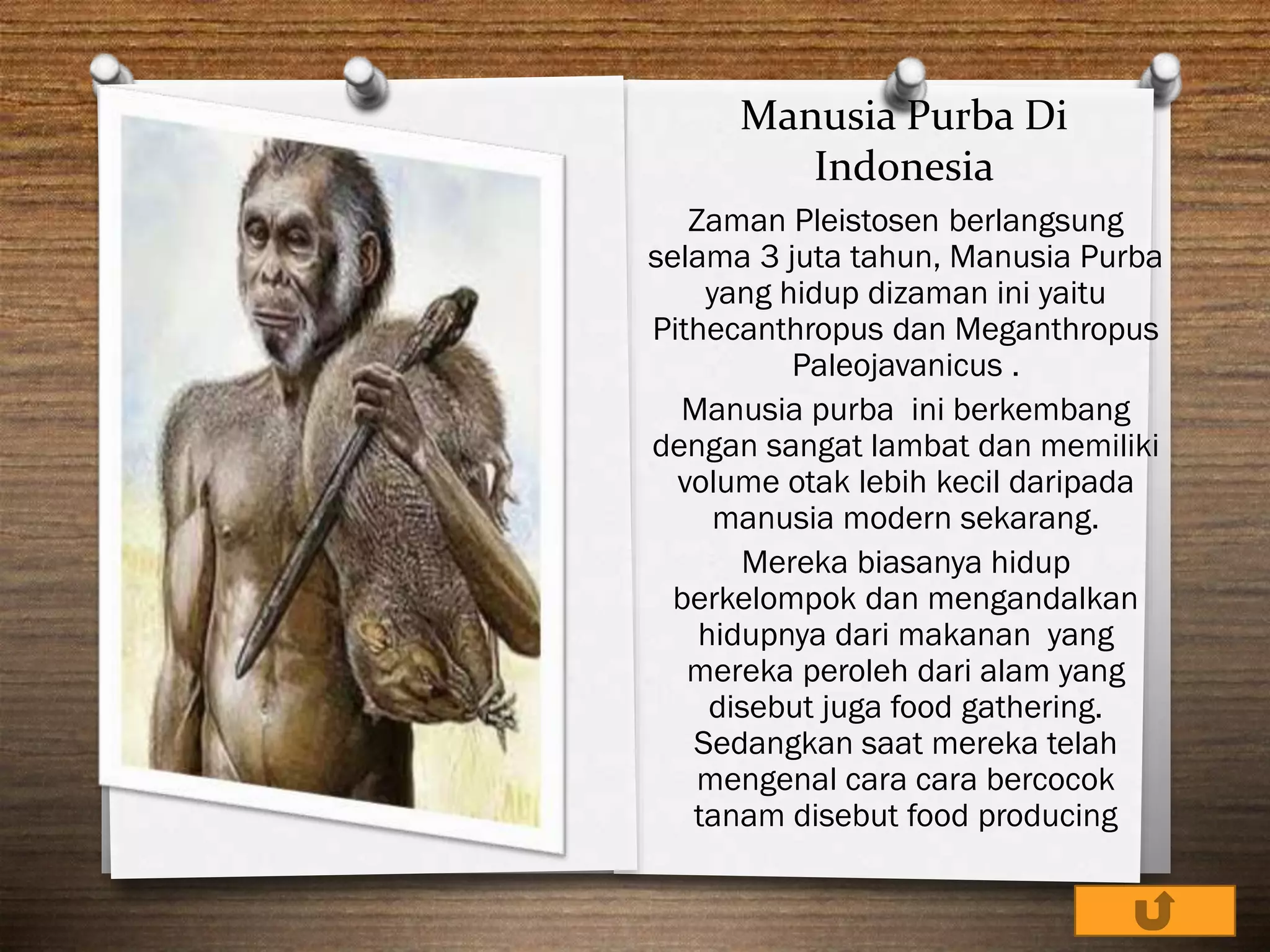 Asal usul dan persebaran manusia di kepulauan indonesia | PPTX