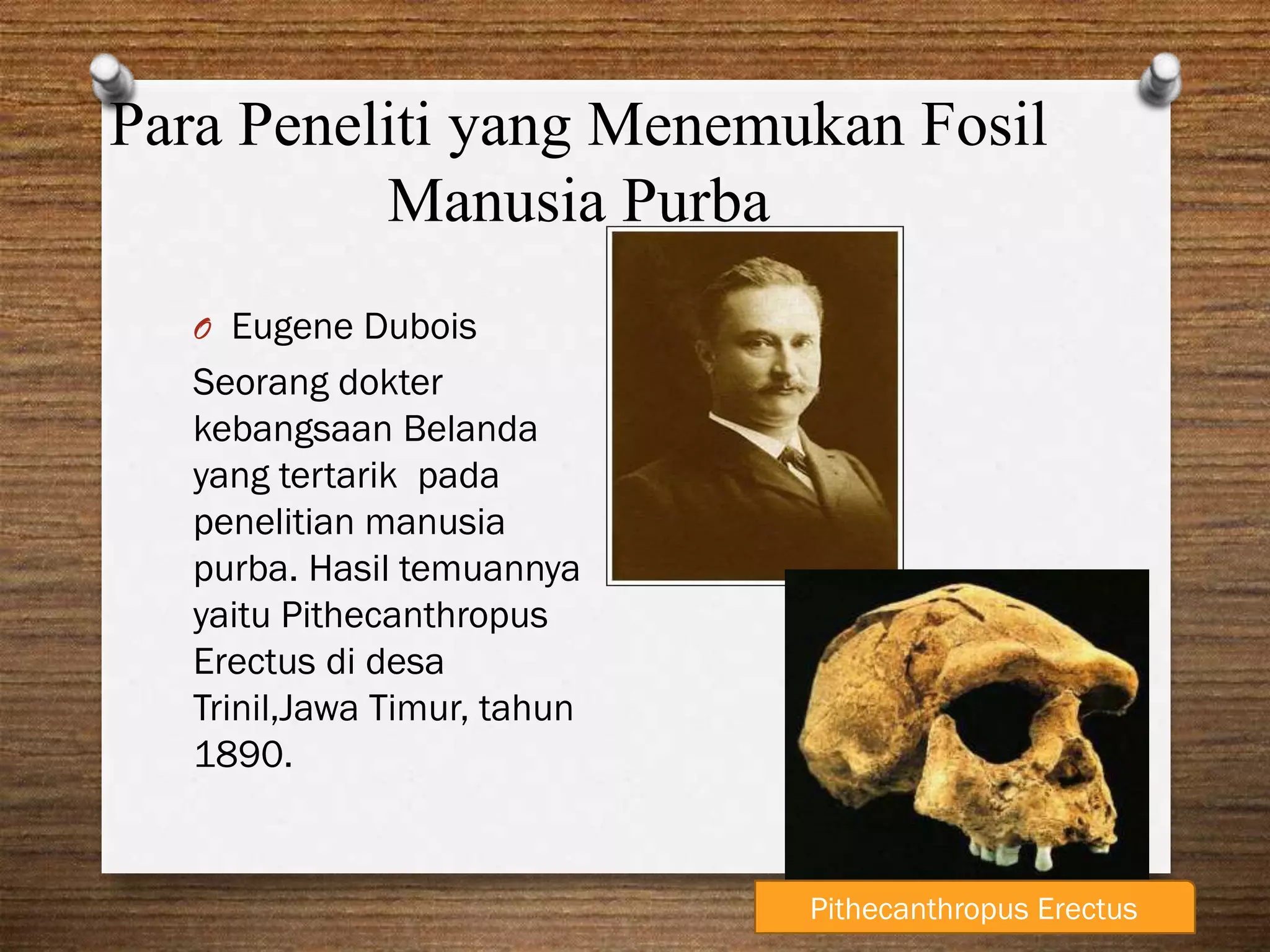 Asal usul dan persebaran manusia di kepulauan indonesia | PPTX