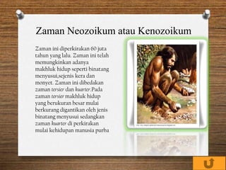 Asal usul dan persebaran manusia di kepulauan indonesia | PPTX