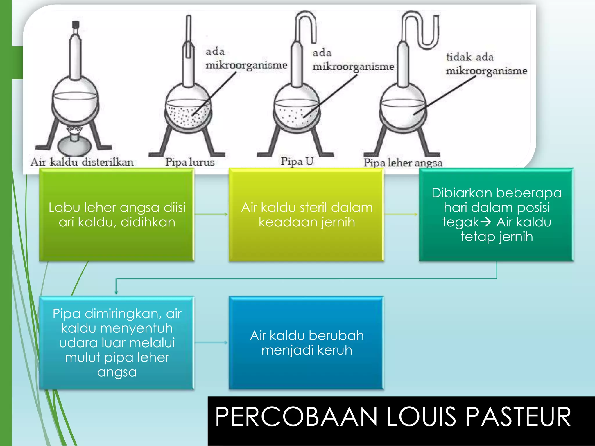 BIOLOGI-Teori Asal usul kehidupan | PPTX