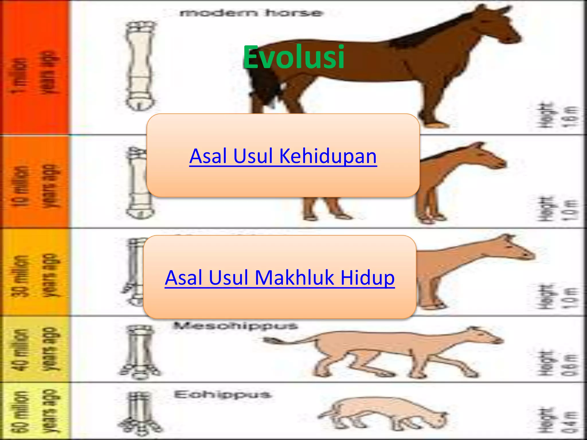 Asal Usul Kehidupan Ppt 