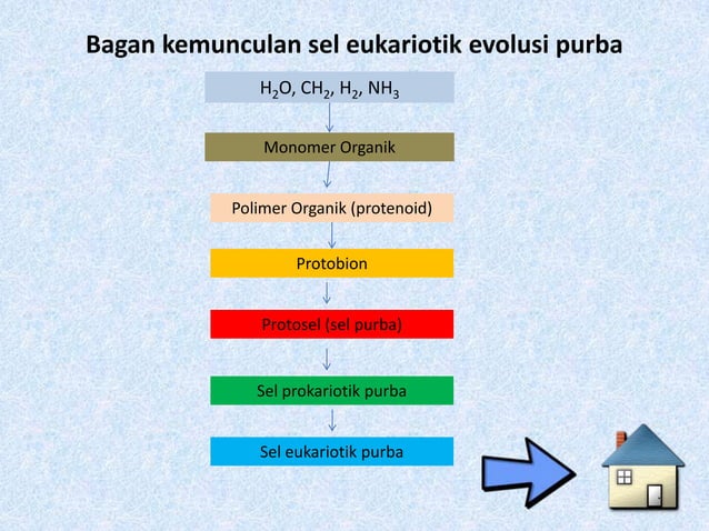 Asal usul kehidupan Biologi | PPTX