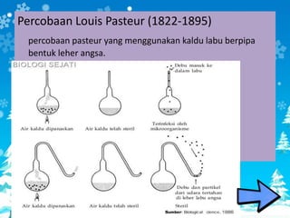 Asal usul kehidupan Biologi | PPTX