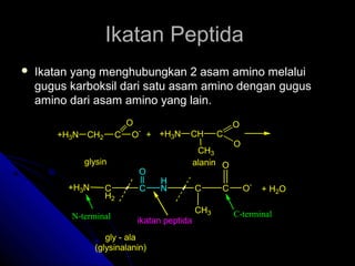 Asam amino-dan-protein | PPT