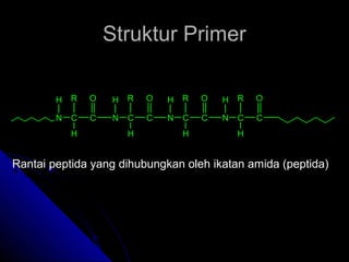 Asam amino-dan-protein | PPT
