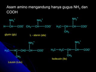 Asam amino-dan-protein | PPT