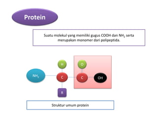 Asam_Amino.pptx metabolisme protein,lemak | PPTX