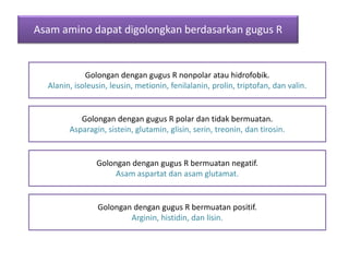 Asam_Amino.pptx metabolisme protein,lemak | PPTX