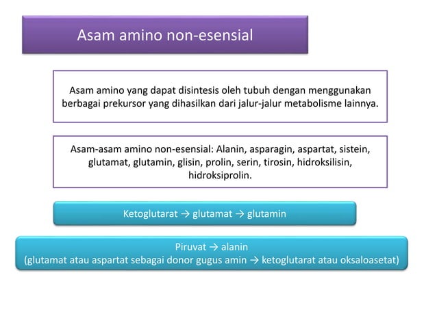 Asam_Amino.pptx metabolisme protein,lemak | PPT | Free Download