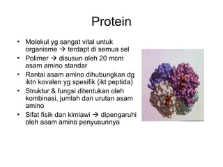 asam amino pengertian contoh dan kegunaannya.ppt