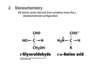 asam amino pengertian contoh dan kegunaannya.ppt