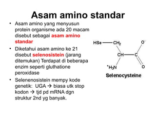 asam amino pengertian contoh dan kegunaannya.ppt