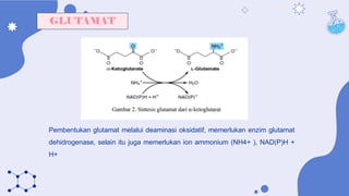 metabolisme dua puluh ASAM AMINO essensial | PPTX