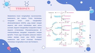 metabolisme dua puluh ASAM AMINO essensial | PPT